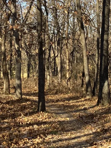 Best Hikes and Trails in Lion's Lake/ Culp Park | AllTrails