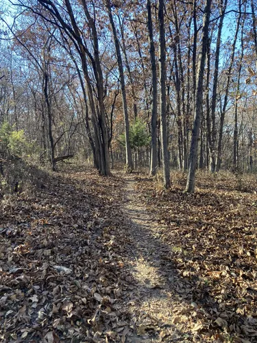 Best Hikes and Trails in Lion's Lake/ Culp Park | AllTrails