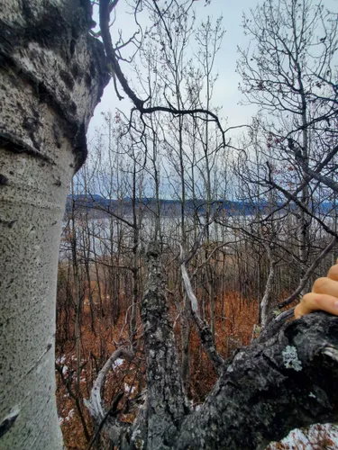 Best Hikes and Trails in Butler Ridge Provincial Park | AllTrails