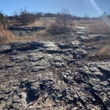 Devil's Honeycomb Trail , Missouri - 731 Reviews, Map | AllTrails