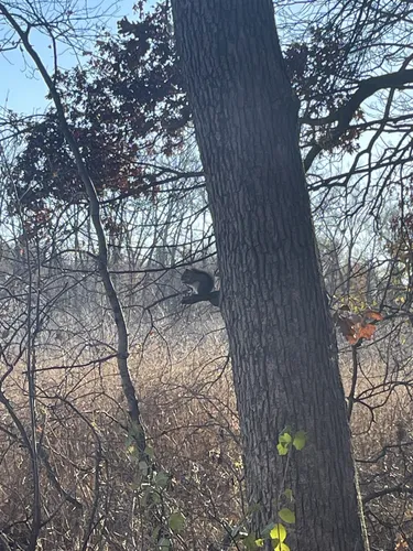 Best Hikes and Trails in Tamarack Nature Preserve | AllTrails