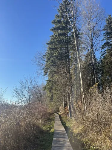 Best Hikes and Trails in Tamarack Nature Preserve | AllTrails