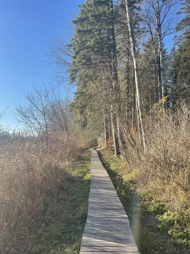 Best Hikes and Trails in Tamarack Nature Preserve | AllTrails