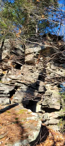 Best Hikes and Trails in Little Pine State Park | AllTrails