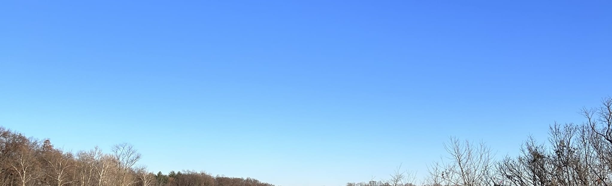 Dallas Lake Park, Indiana - 39 Reviews, Map | AllTrails