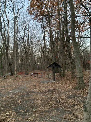 Best Hikes and Trails in Sutton State Forest | AllTrails