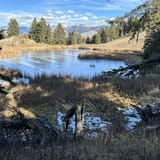 Beaver Ponds Loop Trail, Montana - 1,118 Reviews, Map | AllTrails