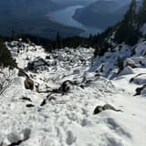 Mount Ellinor Trail, Washington - 2,581 Reviews, Map | AllTrails
