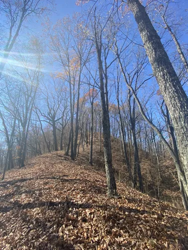 Best Hikes and Trails in Knobs State Forest | AllTrails