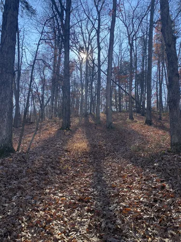Best Hikes and Trails in Knobs State Forest | AllTrails