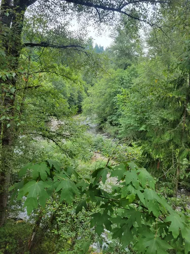 Best Hikes and Trails in Maple Valley Riverside Park | AllTrails