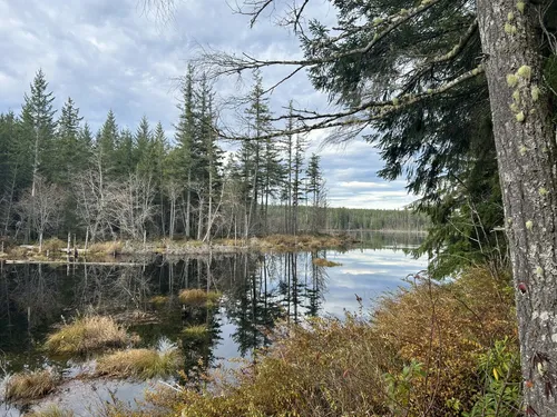 10 Best Trails and Hikes in Silverdale | AllTrails