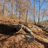 Jones Bridge Trail , Georgia - 2,495 Reviews, Map | AllTrails