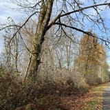 Centennial Trail via Getchell Trailhead, Washington - 483 Reviews, Map ...