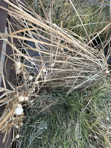 Best Hikes and Trails in Greeley | AllTrails