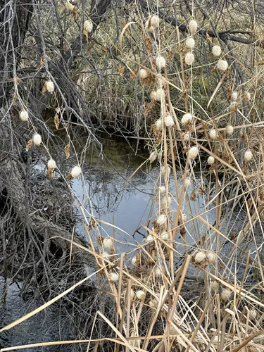 Best Hikes and Trails in Greeley | AllTrails