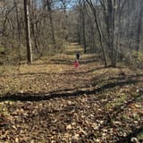 Shannondale Springs Trail, West Virginia - 239 Reviews, Map | AllTrails