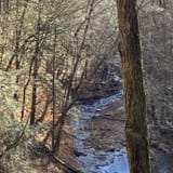 Tinker Falls Trail, New York - 552 Reviews, Map | AllTrails