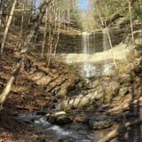Tinker Falls Trail, New York - 552 Reviews, Map | AllTrails