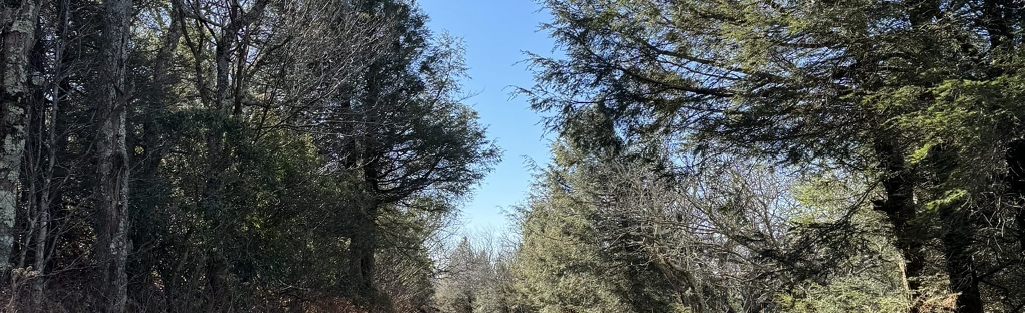 Flagpole Knob via Forest Service Road 85, Virginia - 97 Reviews, Map ...