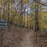 Battle Branch Trail, North Carolina - 359 Reviews, Map | AllTrails
