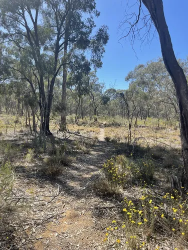 Best Hikes and Trails in Paddy Ranges State Park | AllTrails