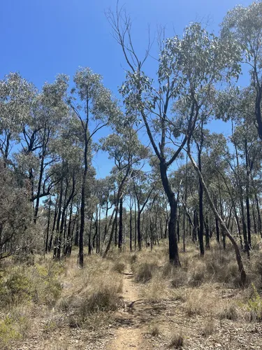 Best Hikes and Trails in Paddy Ranges State Park | AllTrails