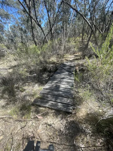 Best Hikes and Trails in Paddy Ranges State Park | AllTrails