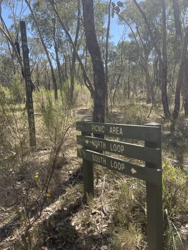 Best Hikes and Trails in Paddy Ranges State Park | AllTrails