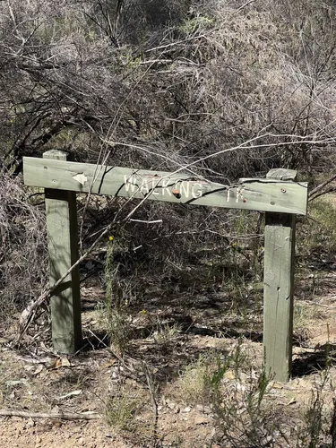 Best Hikes and Trails in Paddy Ranges State Park | AllTrails