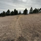 Colorow Mountain Forest and Meadow Loop Trail, Colorado - 509 Reviews ...