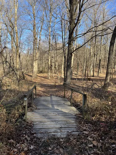 Best Hikes and Trails in Lake Taghkanic State Park | AllTrails