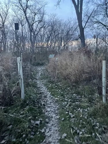 Best Hikes and Trails in Tifft Nature Preserve | AllTrails
