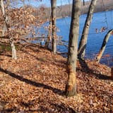 Splitrock Reservoir Trail, New Jersey - 600 Reviews, Map | AllTrails