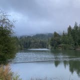 Lake Lagunitas, California - 645 Reviews, Map | AllTrails