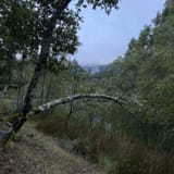 Lake Lagunitas, California - 645 Reviews, Map | AllTrails