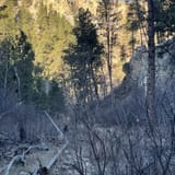 Hell Canyon Trail , South Dakota - 559 Reviews, Map | AllTrails