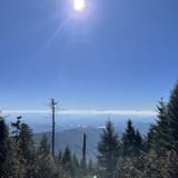 Mount Buckley via Clingmans Dome Bypass Trail, North Carolina - 886 ...