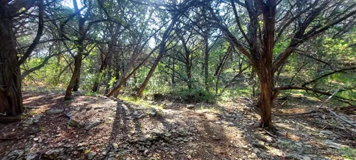 Best Hikes and Trails in Madla Park | AllTrails