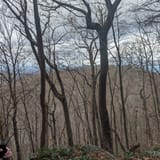 Big Frog Mountain Loop, Tennessee - 36 Reviews, Map | AllTrails