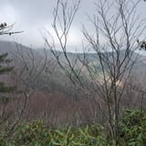 Big Frog Mountain Loop, Tennessee - 36 Reviews, Map | AllTrails
