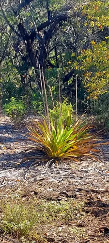 Best Hikes and Trails in Madla Park | AllTrails