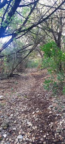 Best Hikes and Trails in Madla Park | AllTrails