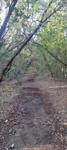 Best Hikes and Trails in Madla Park | AllTrails