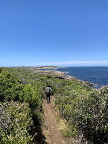 Best Beach Trails in Deepdene | AllTrails