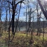 Clinton Lake North Shore Loop, Kansas - 348 Reviews, Map | AllTrails
