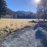 Inner Basin Trail, Arizona - 881 Reviews, Map | AllTrails