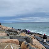 Paumanok Path, New York - 126 Reviews, Map | AllTrails