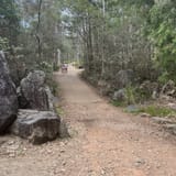 Mount Coot-tha Summit Trail, Queensland, Australia - 750 Reviews, Map ...