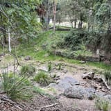 Mount Coot-tha Summit Trail, Queensland, Australia - 750 Reviews, Map ...